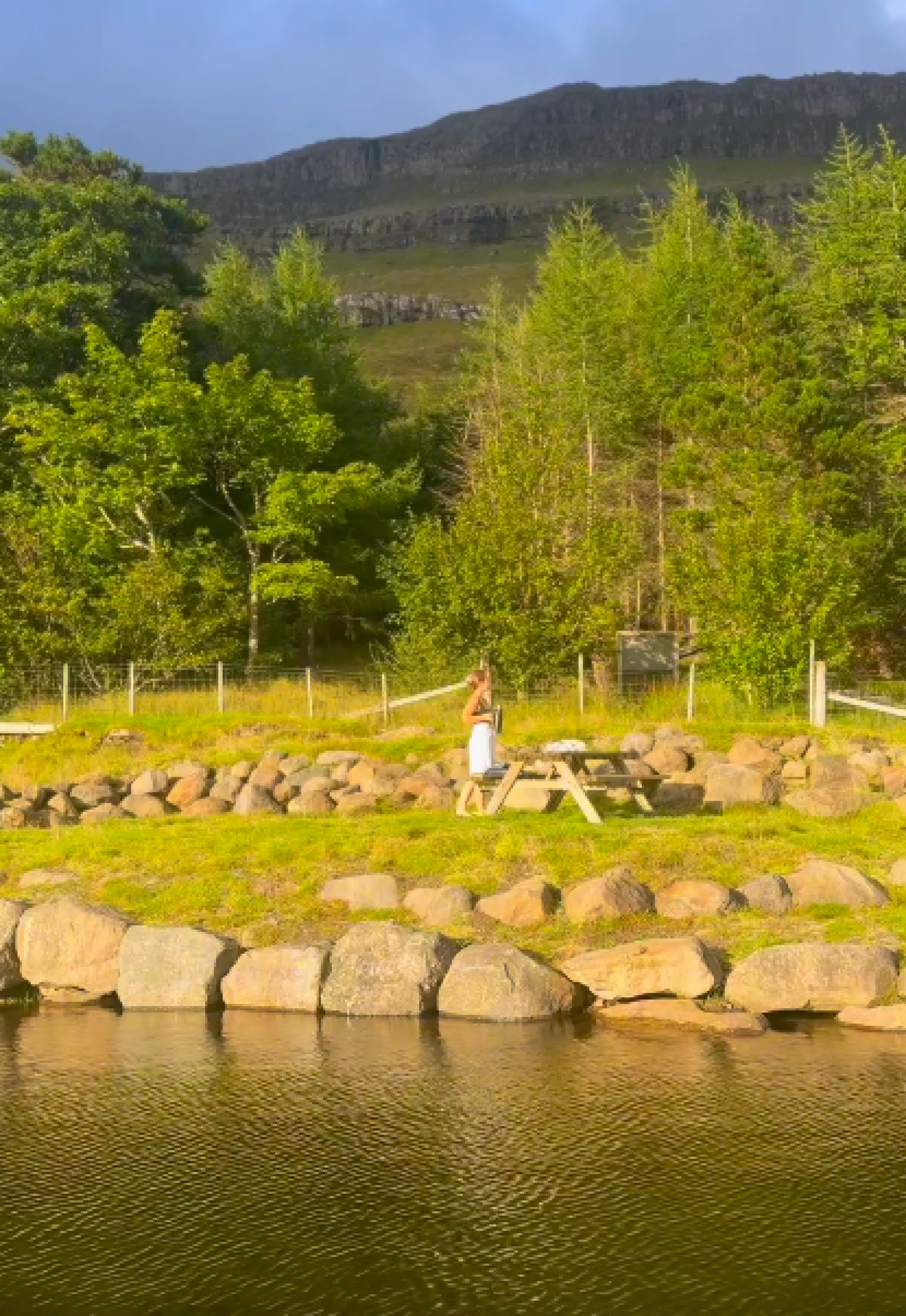 Self-Navigating Cars