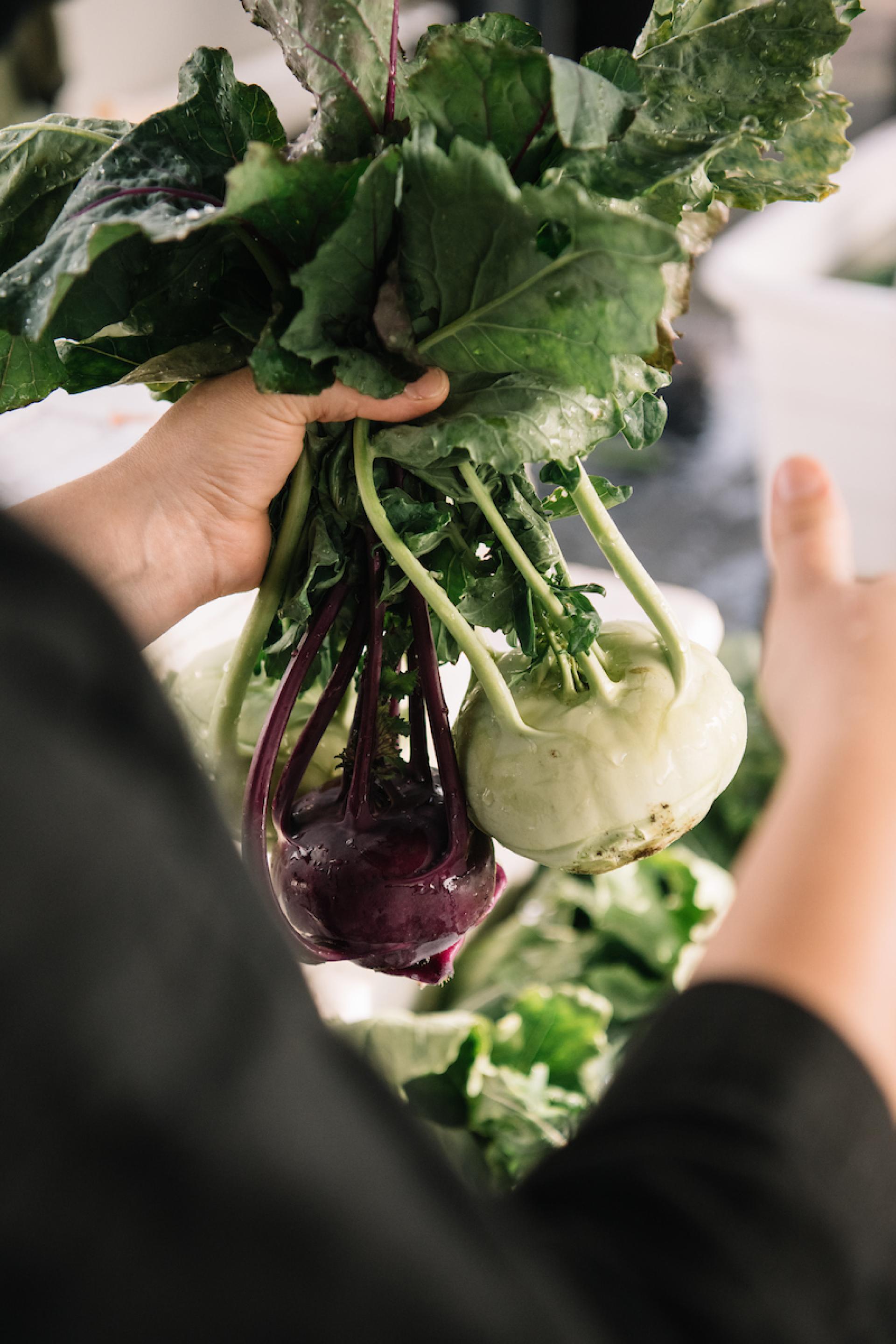 Sandur – Søltuvík